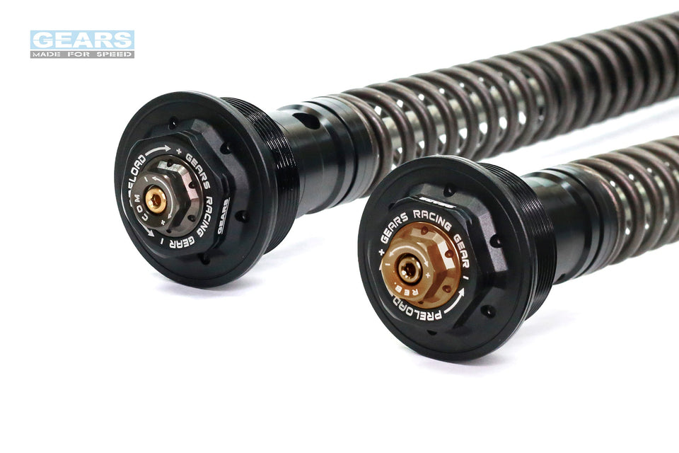 Front Fork Cartridge Conventional-Forks for HONDA NC 750 X (2021 ...